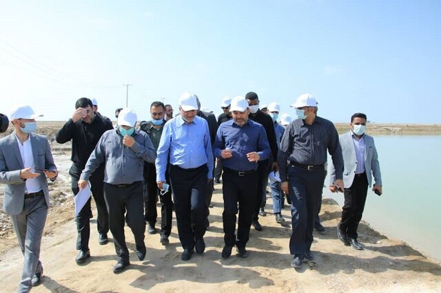 دولت تمام قد در کنار سرمایه‌گذاران ایستاده است - خبرآنلاین